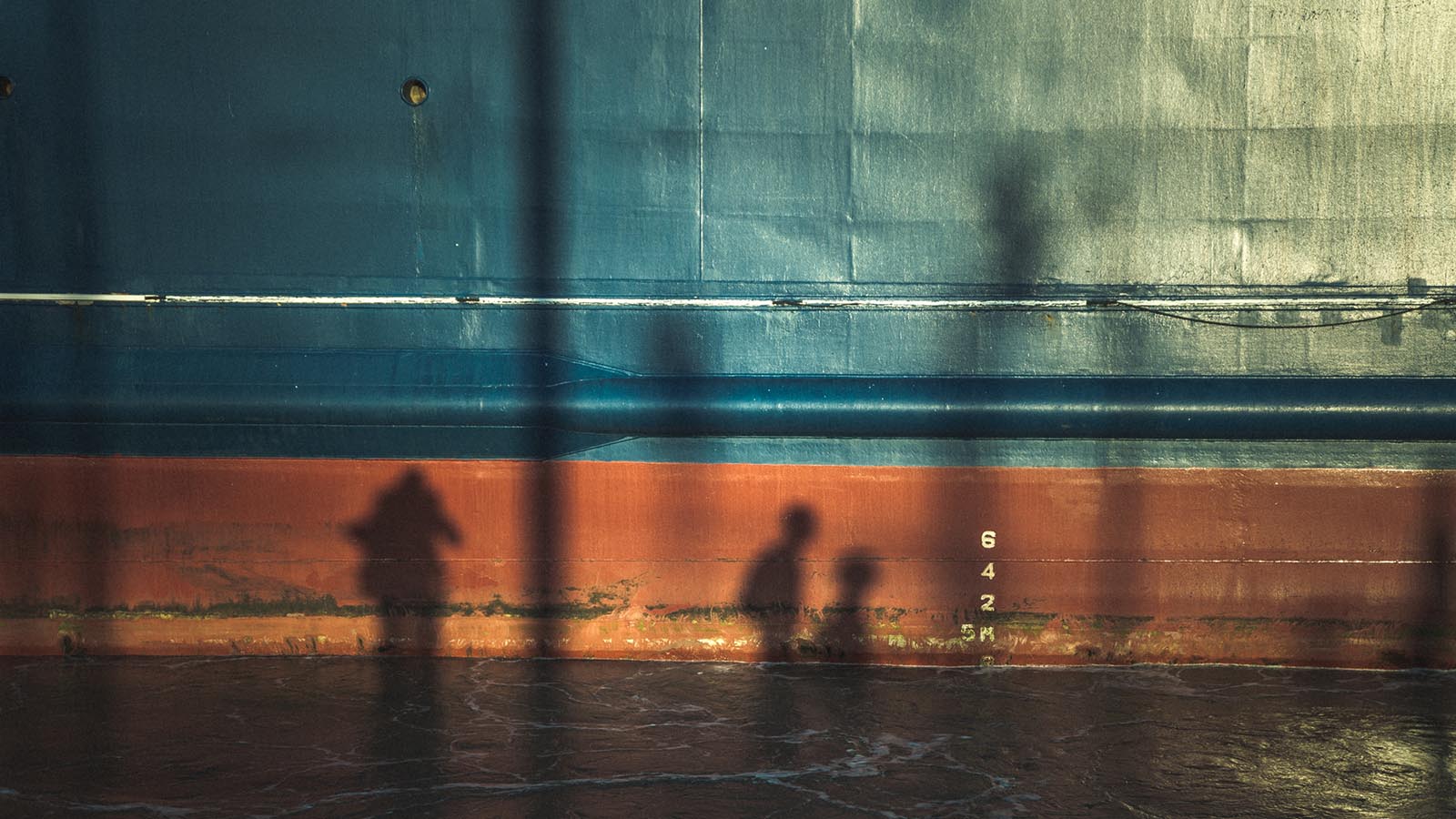 “ΕΝ ΚΙΝΗΣΕΙ” ΣΤΟ ΒΟΤΑΝΙΚΟ – Photonet: για το φωτογράφο και τη φωτογραφία