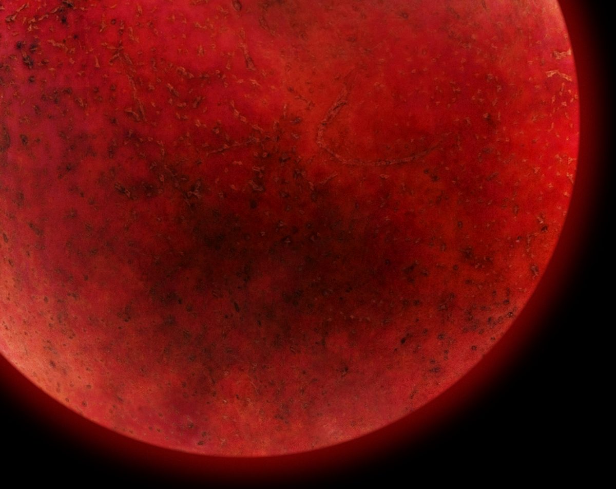 NIKOΣ ΜΑΡΚΟΥ: ΙΝΝΕR SPACE – Photonet: για το φωτογράφο και τη φωτογραφία