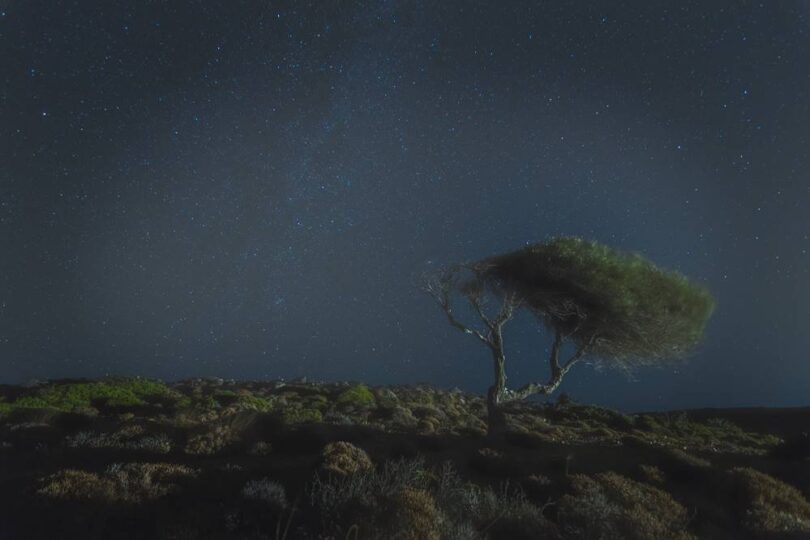 ΦΩΤΟΓΡΑΦΙΚΟΣ ΔΙΑΓΩΝΙΣΜΟΣ «ΥOUR BEST PHOTO-2020»: ΟΛΕΣ ΟΙ ΣΥΜΜΕΤΟΧΕΣ ...