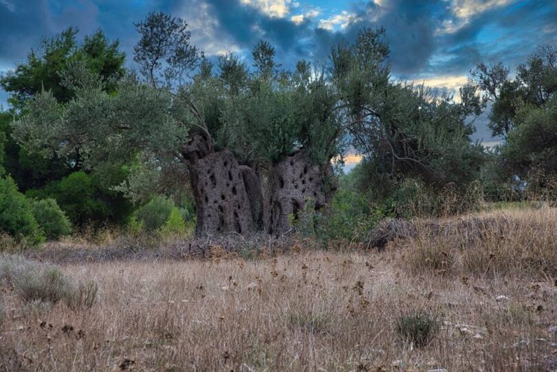 ΦΩΤΟΓΡΑΦΙΚΟΣ ΔΙΑΓΩΝΙΣΜΟΣ «ΥOUR BEST PHOTO-2020»: ΟΛΕΣ ΟΙ ΣΥΜΜΕΤΟΧΕΣ ...