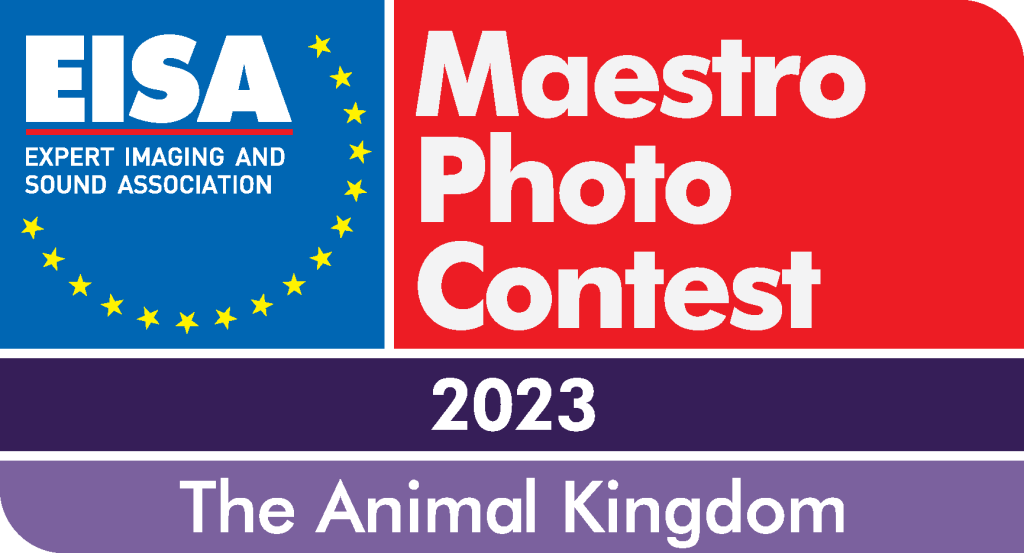 EISA MAΕSTRO 2023: OΛΟΚΛΗΡΩΘΗΚΕ ΤΟ ΕΛΛΗΝΙΚΟ ΣΚΕΛΟΣ ΤΟΥ ΔΙΑΓΩΝΙΣΜΟΥ ...