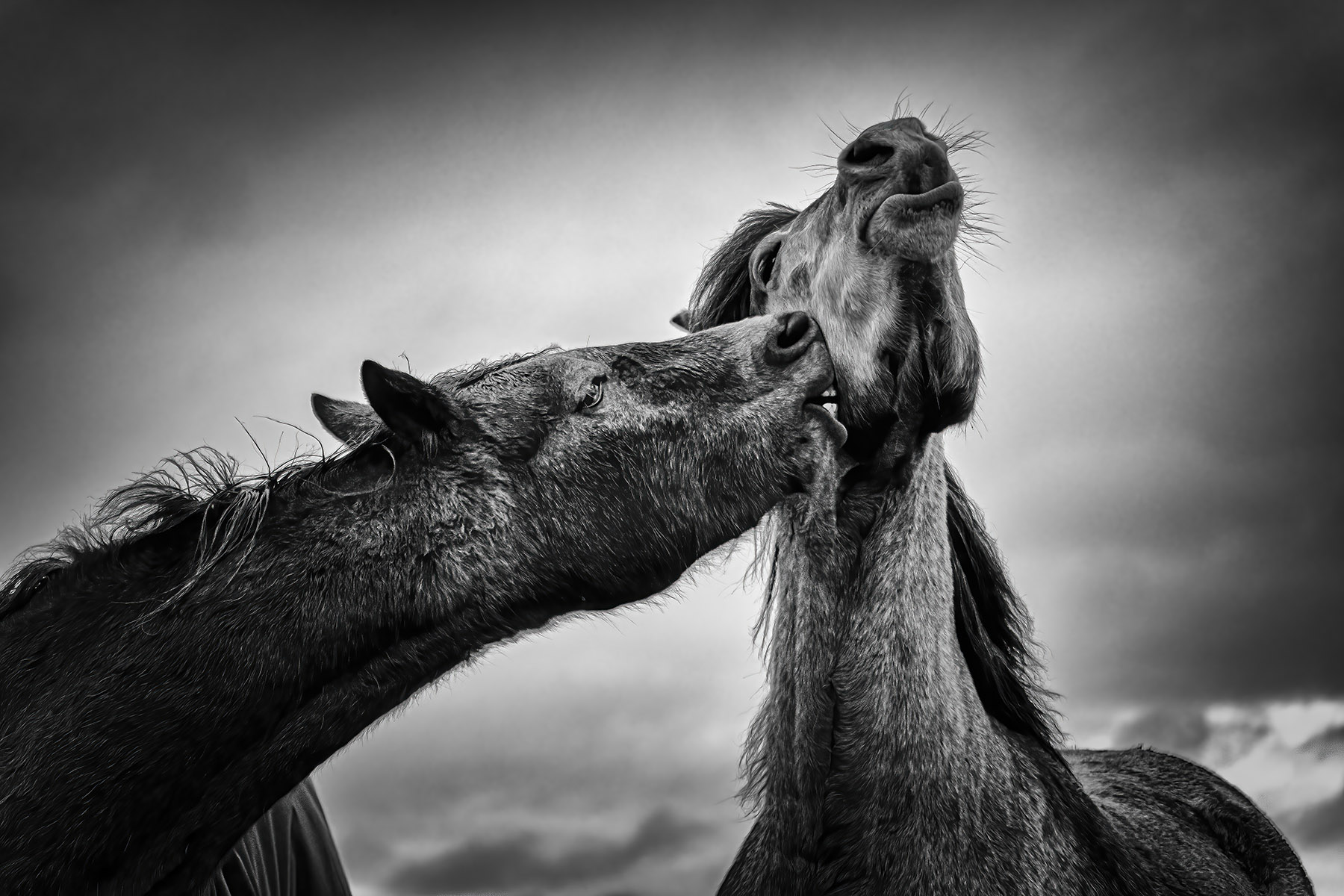 2ο B&W ATHENS PHOTOGRAPHY: ΟΙ ΔΡΑΣΕΙΣ ΤΟΥ ΦΕΣΤΙΒΑΛ! – Photonet: για το ...