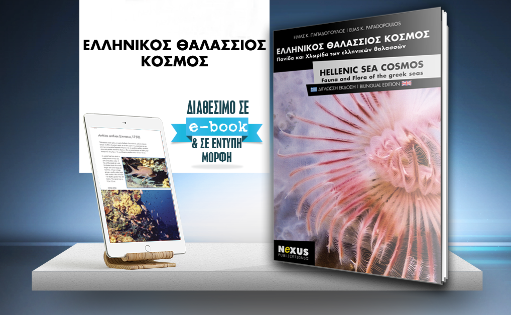 ΕΛΛΗΝΙΚΟΣ ΘΑΛΑΣΣΙΟΣ ΚΟΣΜΟΣ: ΠΑΝΙΔΑ ΚΑΙ ΧΛΩΡΙΔΑ ΤΩΝ ΕΛΛΗΝΙΚΩΝ ΘΑΛΑΣΣΩΝ ...