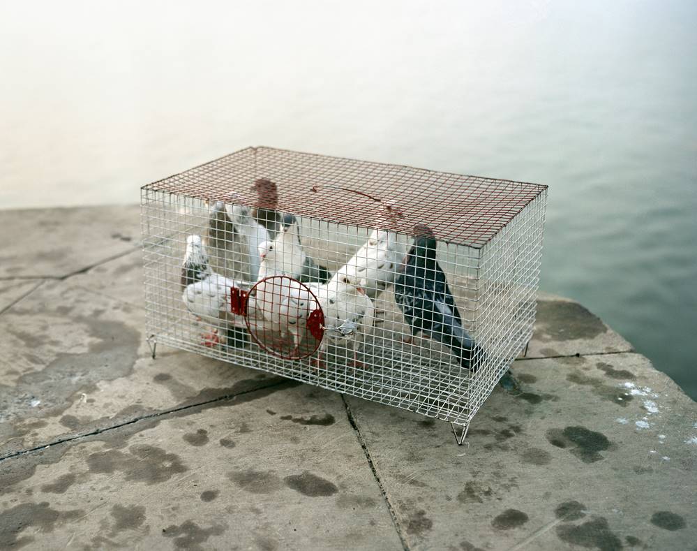 ATHENS PHOTO FESTIVAL 2024 – Photonet: για το φωτογράφο και τη φωτογραφία