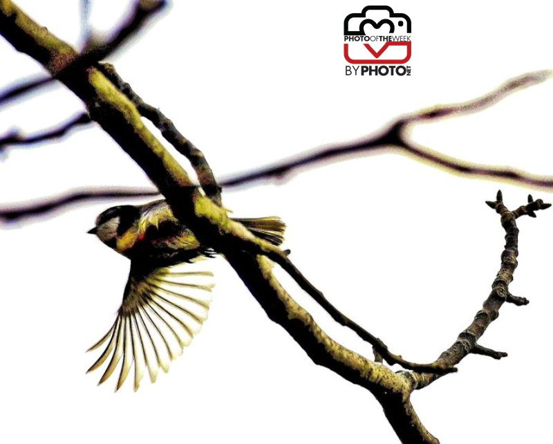 INSTAGRAM PHOTO OF THE WEEK 314 – Photonet: για το φωτογράφο και τη ...
