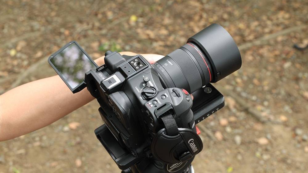 CANON RF 85MM F1.4L VCM – Photonet: για το φωτογράφο και τη φωτογραφία