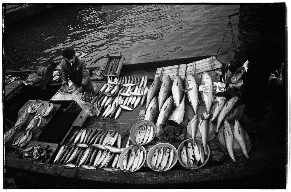 ΦΩΤΗΣ ΚΑΖΑΖΗΣ: NEO BIΒΛΙΟ ΚΑΙ ΕΚΘΕΣΗ ΦΩΤΟΓΡΑΦΙΑΣ ΣΤΗΝ ΕΛΛΗΝΙΚΗ ...