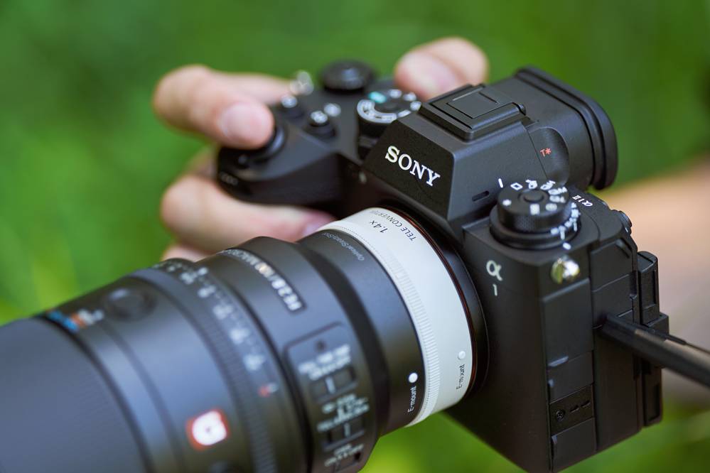 SONY FE 100MM F/2.8 MACRO GM OSS – Photonet: για το φωτογράφο και τη ...